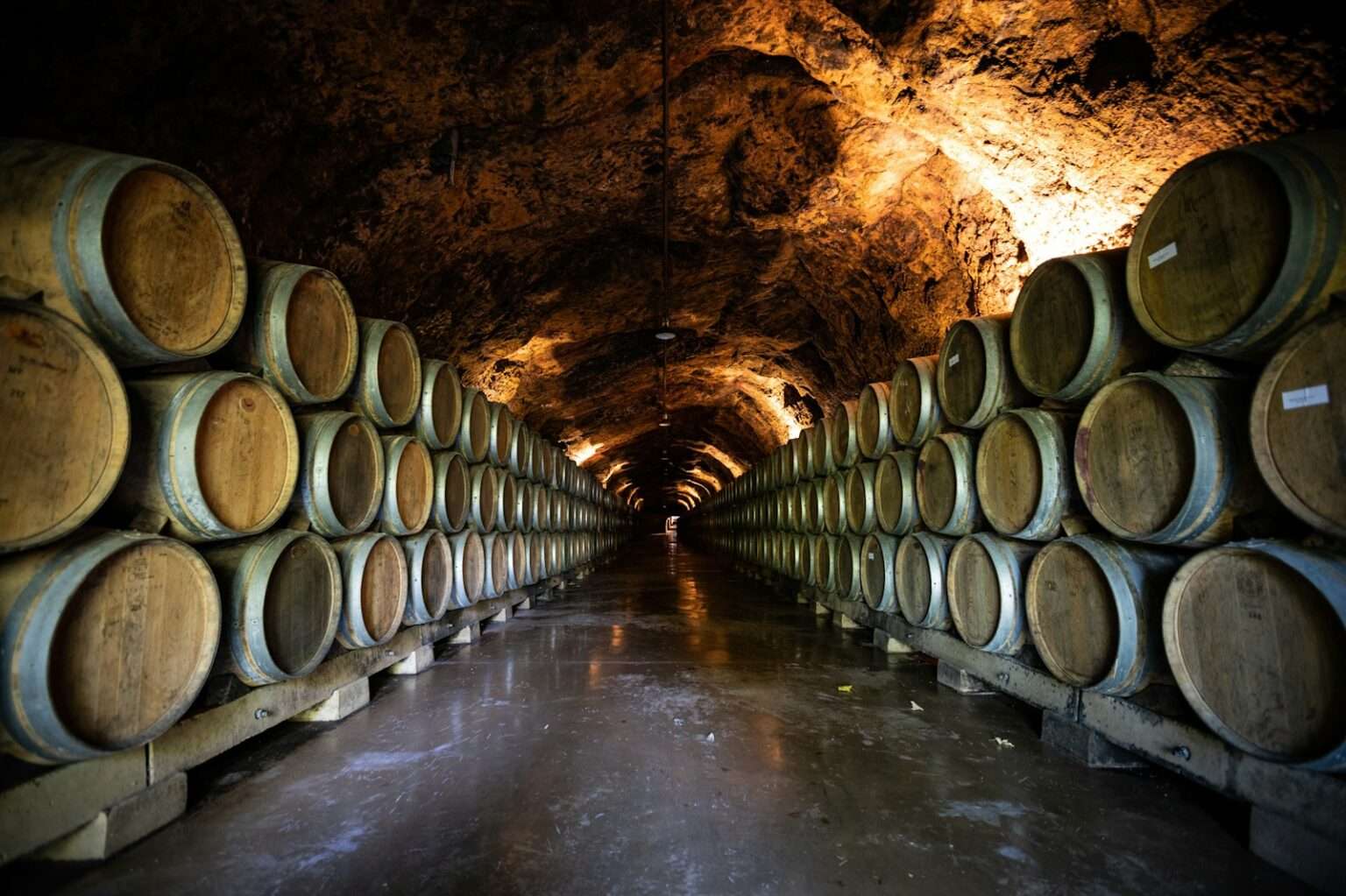 Wine Making Process Explained: From Grape to Glass