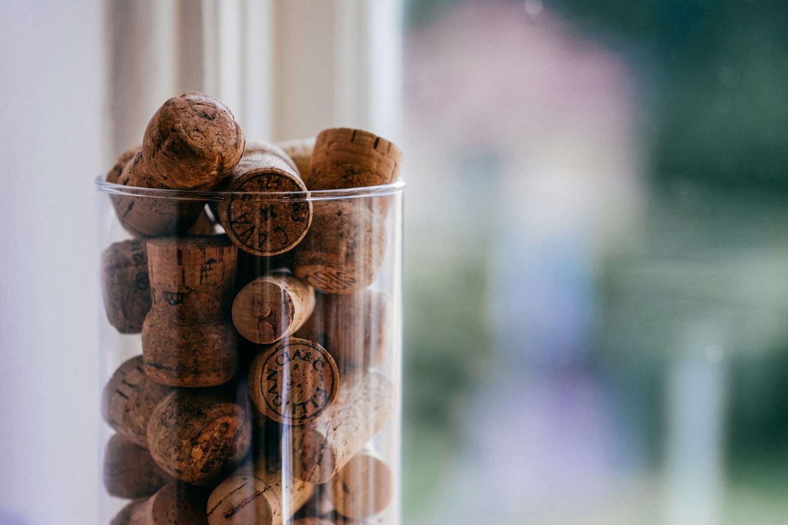 Wine Making Process Explained: From Grape to Glass