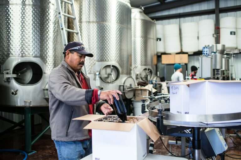 Wine Making Process Explained: From Grape to Glass