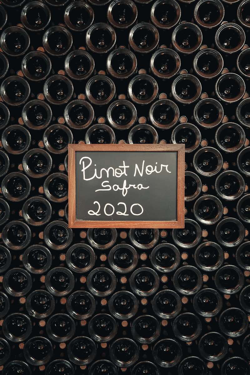 10 Best Budget Wines Under $20 to Try Now