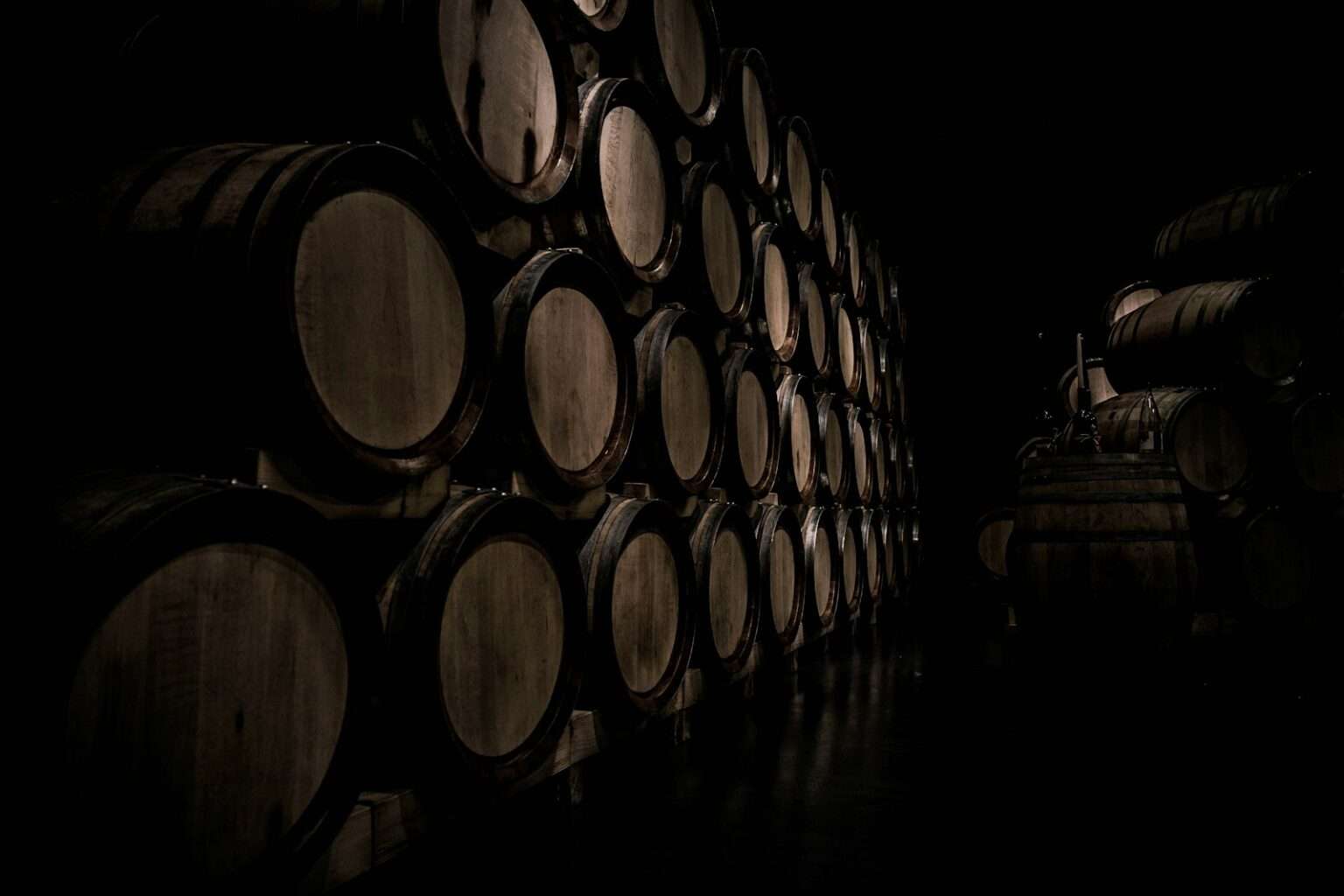 Wine Making Process Explained: From Grape to Glass